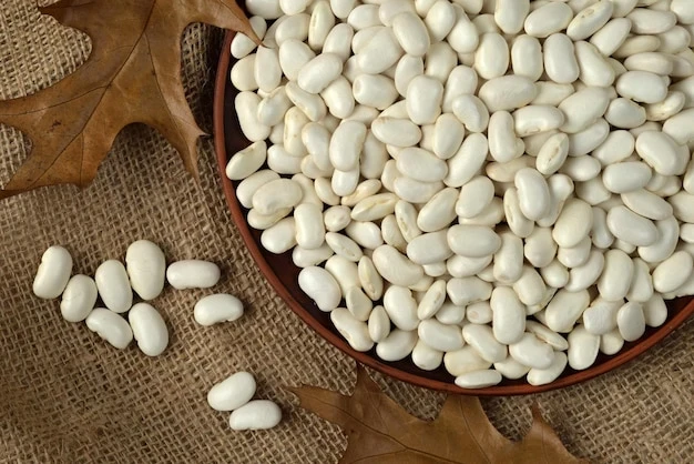 Boabe Coco White 500g - Seminte soi viguros, Agrosem