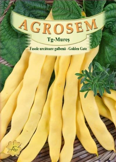 Golden Gate (30g) - Seminte fasole urcatoare, Agrosem