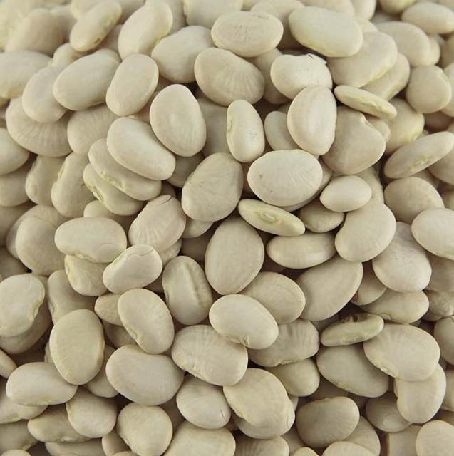Fasole Albenghino 50g - Seminte soi tardiv, Agrosem
