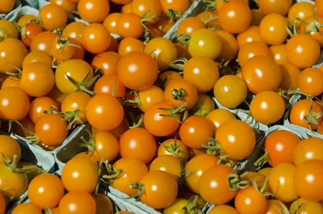 Cherry Portocalii - Seminte Rosii Soi semitimpuriu, 0.2 gr
